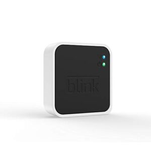 blink add-on sync module 2