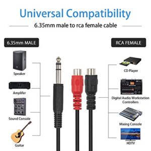 Poyiccot RCA to 1/4 Adapter, RCA Female to 1/4 '' Splitter Cable, 6.35mm 1/4 inch TRS Stereo Jack Male to 2 RCA Female Plug Y Splitter Adapter Cable, 6.35mm to RCA Cable 20cm/8inch (6.35M-2RCAFM