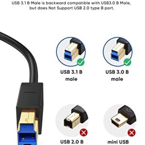 CableCreation USB 3.1 USB C to USB B Cable 4 FT Bundle USB 3.1 C to Micro B Hard Drive Cable 2FT