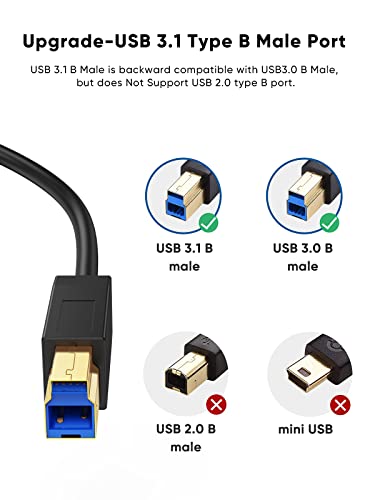 CableCreation USB 3.1 USB C to USB B Cable 4 FT Bundle USB 3.1 C to Micro B Hard Drive Cable 2FT