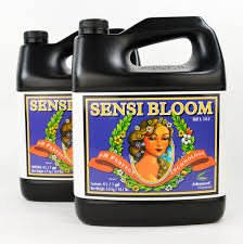 advanced nutrients sensi bloom 10ltr a +10 ltr b /