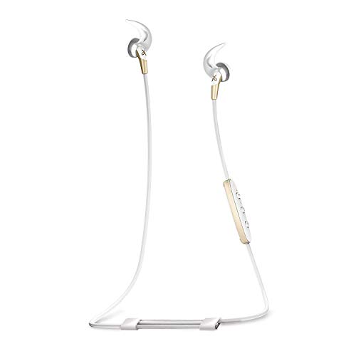 Jaybird FREEDOM 2 In-Ear Wireless Bluetooth Sport Headphones with SpeedFit – Tough All-Metal Design – Gold (Renewed)