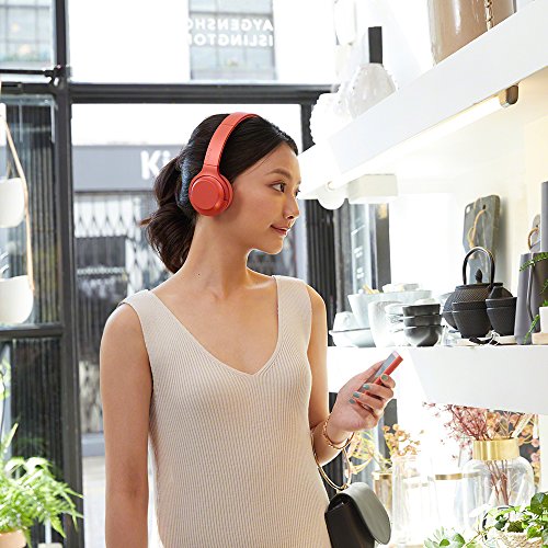 Sony Wireless Headphones h.Ear on 2 Mini Wireless WH-H800 R(Japan Domestic Genuine Products)