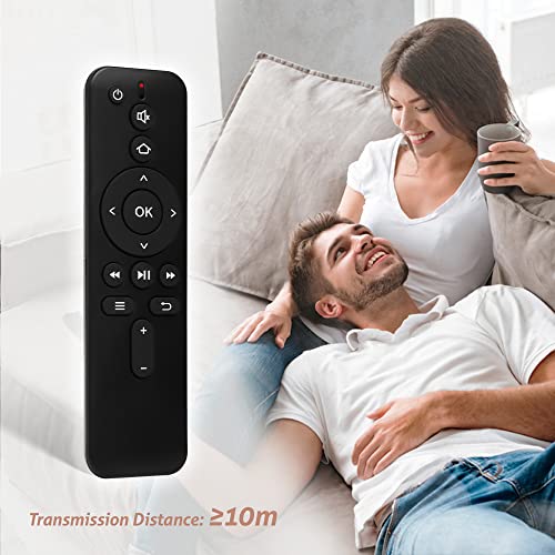 Replacement Remote Control Compatible with fire Stick lite,Fire Cube (Without Alexa Voice)