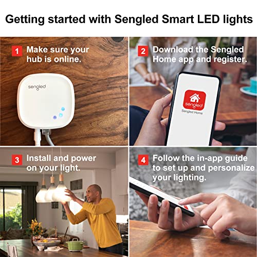 Sengled Z02-hub Hub for Use Smart Products, Compatible with Alexa and Google Assistant, 1 Count (Pack of 1), White