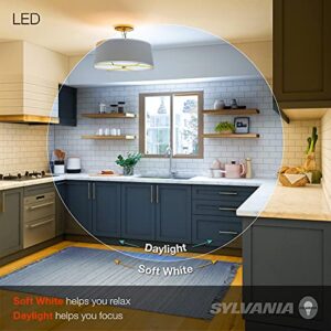 SYLVANIA LED A19 Light Bulb, 100W Equivalent, Efficient 14W, 1500 Lumens, Frosted Finish, Daylight - 4 Pack (78103)