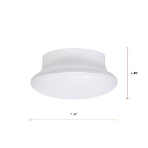 LEDVANCE 75081 1 Ceiling lamp, 1 Count (Pack of 1), Cool White