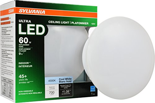 LEDVANCE 75081 1 Ceiling lamp, 1 Count (Pack of 1), Cool White