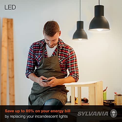 SYLVANIA LED Light Bulb, 40W Equivalent A19, Efficient 6W, Medium Base, Frosted Finish, Soft White - 1 Pack (74076)