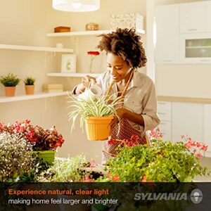 SYLVANIA Double Life Halogen Light Bulb, A19, 75W Equivalent, Efficient 53W, 800 Lumens, Soft White - 4 Pack (50045)