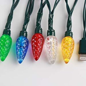 Cewuidy LED Christmas Lights Charging Cable,USB and Bulb Charger,50inch 10led Multicolor Available with Phone 5,6,7,8,X,XR,XS,XS Max,11,11Pro,11Pro Max,SE2,12mini,12,12Pro,12Pro Max etc(1pcs)