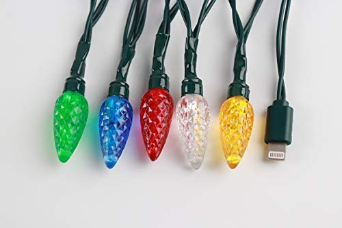 Cewuidy LED Christmas Lights Charging Cable,USB and Bulb Charger,50inch 10led Multicolor Available with Phone 5,6,7,8,X,XR,XS,XS Max,11,11Pro,11Pro Max,SE2,12mini,12,12Pro,12Pro Max etc(1pcs)