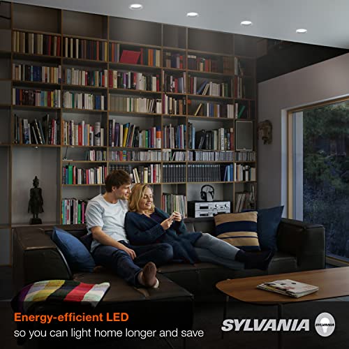 LEDVANCE Sylvania PAR20 LED Flood Light Bulb, 50W = 7W, Dimmable, 13 Year, Medium Base, 550 Lumens, Wet-Rated, 5000K, Daylight - 2 Pack (40400)