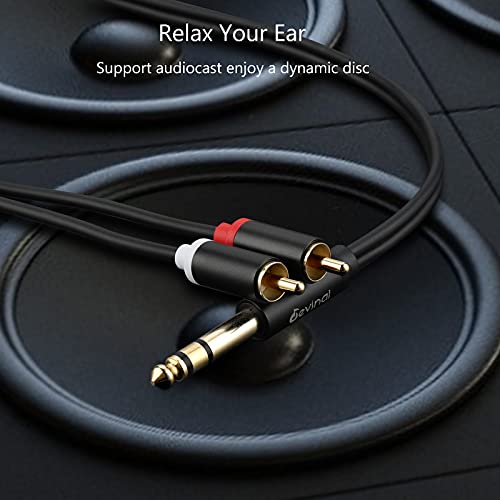 Devinal 1/4" inch TRS to RCA Y Splitter Cable, 6.35mm Stereo to 2 RCA Phono Insert Cable, Dual RCA to Quarter inch Audio Breakout Cable Cord 10 feet/ 3 Meters