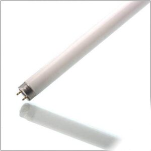 sylvania octron 800 ecologic fo32/841/eco/21781 fluorescent lamp, 32 w, bi-pin medium linear fluorescent lamp, t8, 2950 lumens