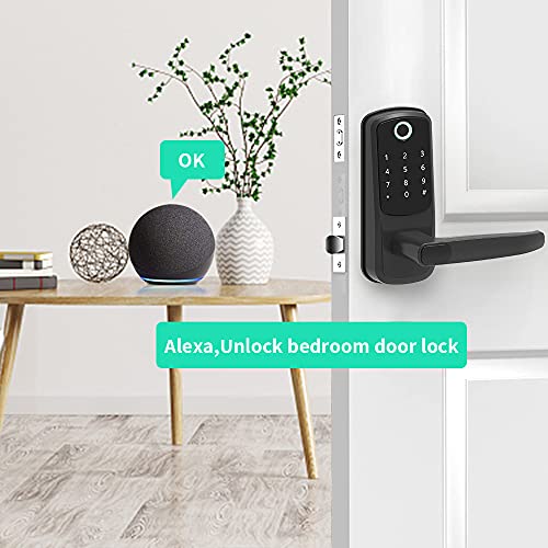 Alexa Door Locks for Front Door, Gimkok 6-in-1 Keyless Front Door Lock Alexa with Reversible Handle for Home, Office, Voice Control, Use APP, IC Card, Anti-peep Code Door Lock Handle (Black)