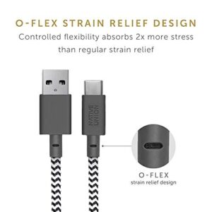 Native Union Belt Cable XL USB-C to USB-A - 10ft Ultra-Strong Charging Cable with Leather Strap Compatible with Samsung Galaxy Z Fold4, Flip4 / S22 Ultra, Pixel 7 Pro, iPad Pro, Air 5, Mini 6 (Zebra)