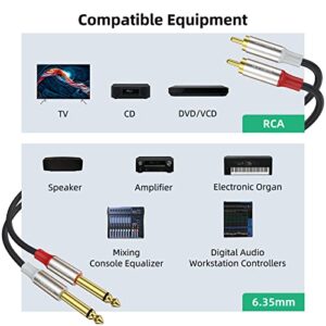 SCETREND RCA to 1/4 Cable 6ft, Dual 1/4 Inch TS Mono to Dual RCA Stereo Cable Male to Male Gold Plated Compatible for AV Receiver, Speaker, Amplifier, Home Theater System