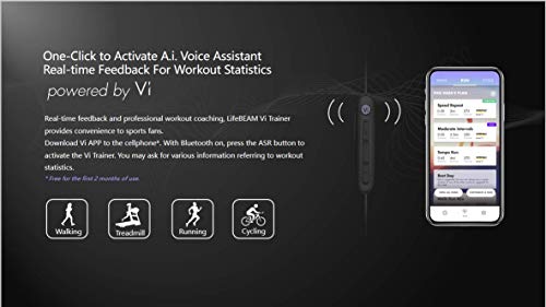 1MORE Vi React In-Ear Headphones Powered by Vi, Bluetooth Sport Wireless Earphones with AAC, IPX6 Waterproof, Lightweight, Secure Fit - Space Gray, 52