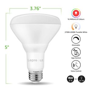 LED Flood Light Bulbs, WiFi Smart BR30 E26 Bulb, RGBW Color Changing Lights, Works with Alexa & Google Assistant, Dimmable Recessed Can Light Bulbs, 8W=65W, 700 Lumens, 2 Packs