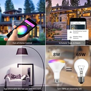 LED Flood Light Bulbs, WiFi Smart BR30 E26 Bulb, RGBW Color Changing Lights, Works with Alexa & Google Assistant, Dimmable Recessed Can Light Bulbs, 8W=65W, 700 Lumens, 2 Packs