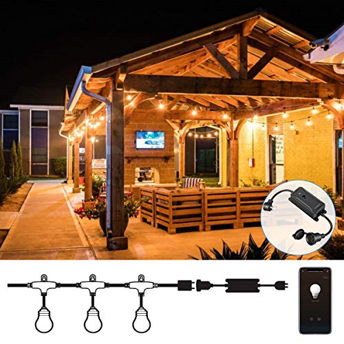 Smart Outdoor Dimmer, WiFi Plug-in Light Dimmer Switch for LED String Light, Wireless Remote Control Dimming-350W, Outdoor Plug Works with Alexa Google Home, IP44 Waterproof/Timer by Smartphone