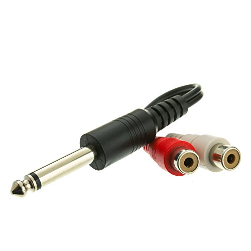 CableWholesale 1/4 inch Mono Phono to Dual RCA Adapter, 1/4 Mono Male to Dual RCA Female, 6 inch