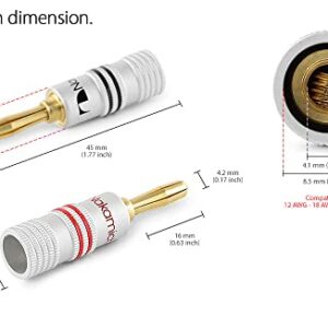 Nakamichi Excel Series 24k Gold Plated Banana Plug 12 AWG - 18 AWG Gauge Size 4mm for Speakers Amplifier Hi-Fi AV Receiver Stereo Home Theatre Radio Audio Wire Cable Screw Connector 4 Pcs (2-Pairs)