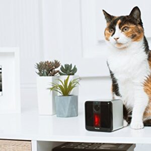 Petcube [2017 Item] Play Smart Pet Camera with Interactive Laser Toy. Remote Dog/Cat Monitoring with HD 1080p Video, Two-Way Audio, Night Vision, Sound/Motion Alerts. App-Enabled Pet and Home Safety