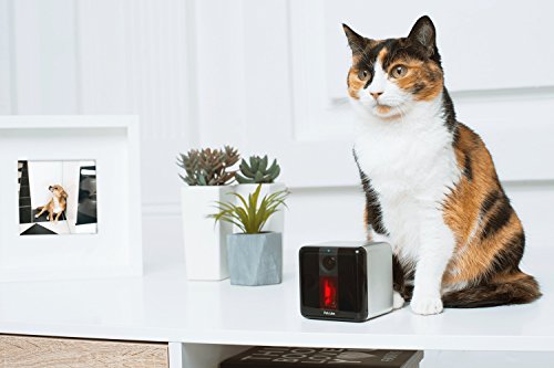 Petcube [2017 Item] Play Smart Pet Camera with Interactive Laser Toy. Remote Dog/Cat Monitoring with HD 1080p Video, Two-Way Audio, Night Vision, Sound/Motion Alerts. App-Enabled Pet and Home Safety