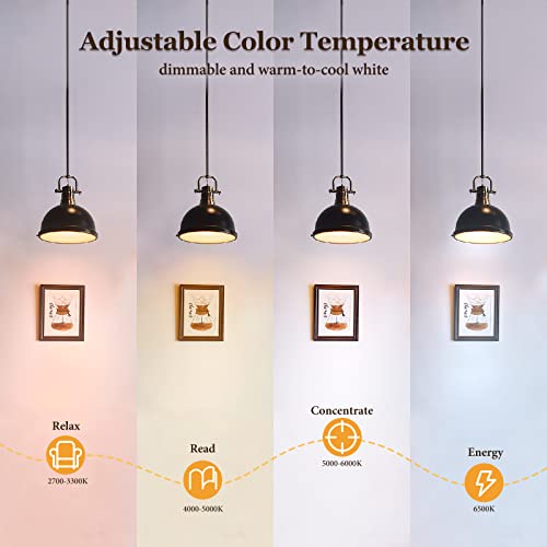 MagicLight Smart Light Bulbs, WiFi & Bluetooth 5.0, A19/E26 LED Color Changing Light Bulb, 60W Equivalent, Dimmable, RGBCW, App Control, Smart Home Lighting Works with Alexa Google Assistant, 4Pack