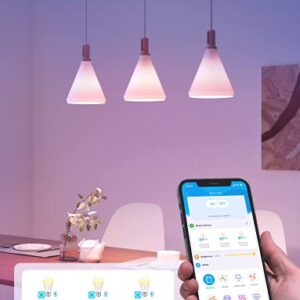 Govee Smart Light Bulbs, Dimmable LED Bulbs Work with Alexa & Google Assistant, 2700K 800 Lumens Soft Warm White WiFi & Bluetooth Light Bulbs, A19 E26 9W LED Bulbs, 60W Equivalent, 4 Pack