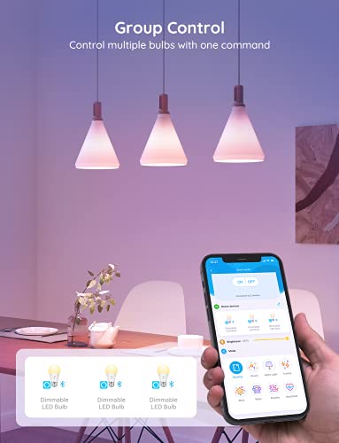 Govee Smart Light Bulbs, Dimmable LED Bulbs Work with Alexa & Google Assistant, 2700K 800 Lumens Soft Warm White WiFi & Bluetooth Light Bulbs, A19 E26 9W LED Bulbs, 60W Equivalent, 4 Pack