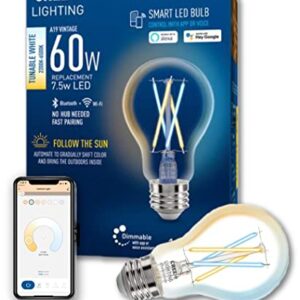 Cree Lighting Connected Max Smart Led Vintage Glass Filament Bulb A19 60W Tunable White, 2.4 Ghz, Works With Alexa And Google Home, No Hub Required, Bluetooth + Wifi, 1Pk (Cma19-60W-Al-9Tw-Gl)