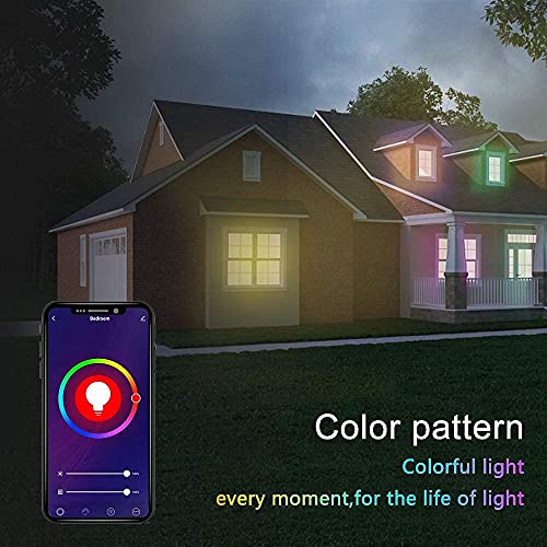 Smart Light Bulbs RGB+CCT Color Light Bulb WiFi Smart Bulbs Compatible with Alexa Google Home Smart Things No Hub Required Dimmable LED A19 E26 Multicolor High CRI High Brightness 9W 800LM 4Pack