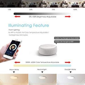 TALOYA Smart Ceiling Light Flush Mount LED WiFi, Compatible with Alexa Google Home, Dimmable Low Profile Ambient Light Fixture for Bedroom Living Room,12 Inch 24W