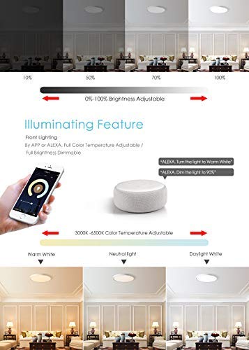 TALOYA Smart Ceiling Light Flush Mount LED WiFi, Compatible with Alexa Google Home, Dimmable Low Profile Ambient Light Fixture for Bedroom Living Room,12 Inch 24W