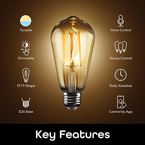 Geeni LUX Amber ST19 Edison WiFi LED Smart Bulb, 2700K - 6500K 8W, E26 Base, Dimmable, Tunable White Light, Compatible with Amazon Alexa & Google Home - No Hub Required- 2 Pack