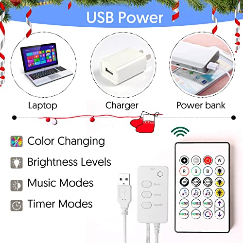 AvatarControls 32.8ft Smart Fairy Lights Works w/ Alexa Google, Color Changing LED Lights With Remote&APP, Music Sync Fairy Lights with 20 Flash Modes, Dreamcolor Plug In USB String Lights with Timer