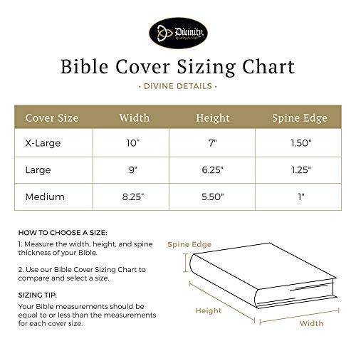 Divinity Boutique Delight Yourself M Bible Cover, Multicolor