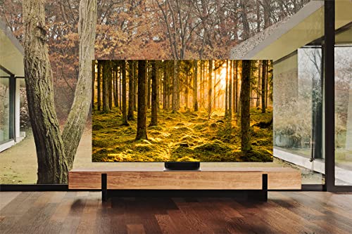 SAMSUNG 85-Inch Class Neo QLED 8K QN900B Series Mini LED Quantum HDR 64x, Infinity Screen, Dolby Atmos, Object Tracking Sound Pro, Smart TV with Alexa Built-In (QN85QN900BFXZA, 2022 Model)