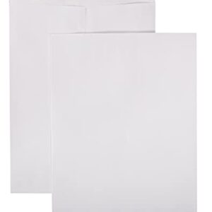 Amazon Basics Catalog Mailing Envelopes, Peel & Seal, 10x13 Inch, White, 100-Pack