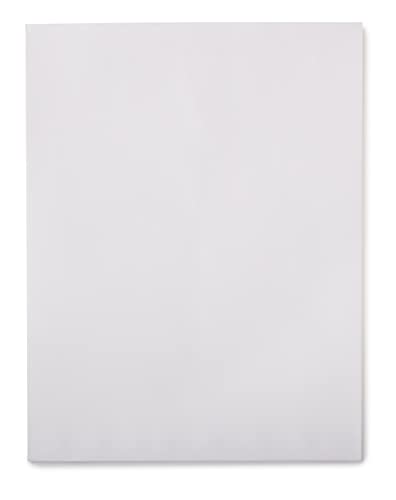 Amazon Basics Catalog Mailing Envelopes, Peel & Seal, 10x13 Inch, White, 100-Pack