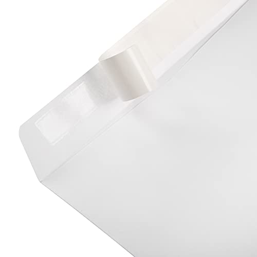 Amazon Basics Catalog Mailing Envelopes, Peel & Seal, 10x13 Inch, White, 100-Pack