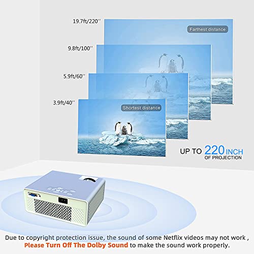 Native 1080P WiFi Bluetooth Projector（with 100" Metal Anti Light Screen），DIVCRE 9000L Full HD 220" Portable Projector , Home Theater Video Projector，Compatible with iOS，Android，HDMI,VGA,USB,AV