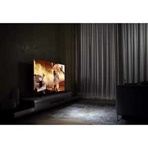 LG 55NANO90UPA Alexa Built-in NanoCell 90 Series 55" 4K Smart UHD NanoCell TV (2021) (Renewed)