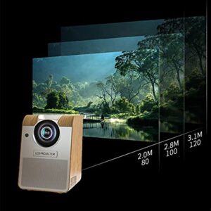 CXDTBH Full Led Projector 6500 Lumens Compatible USB 1080p Portable Cinema Proyector Beamer ( Size : Basic Version )