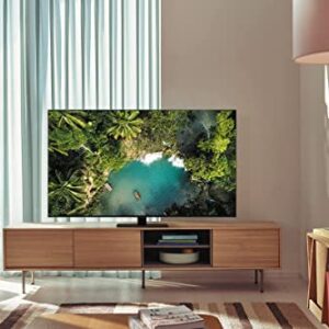 Samsung 65-Inch Class QLED Q80B Series - 4K UHD Direct Full Array Quantum HDR 12x Smart TV 2022 QN65Q80BAF Includes Free 2 Year , (QN65Q80BAFXZA)