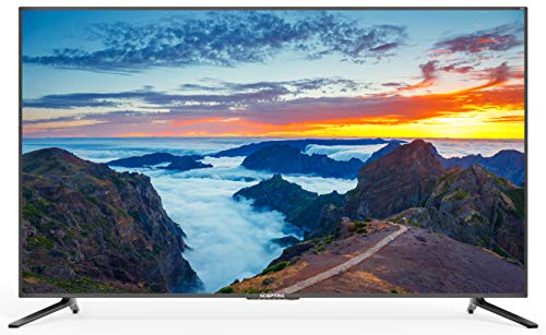 Sceptre 65" Class 4K (2160P) LED TV (U650CV-U)