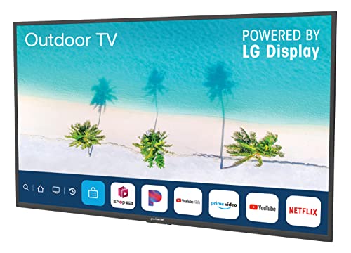 Peerless-AV 65'' Neptune Partial Sun Outdoor 4K HDR Smart TV w/Free Outdoor Tilting Wall Mount, WPTV653